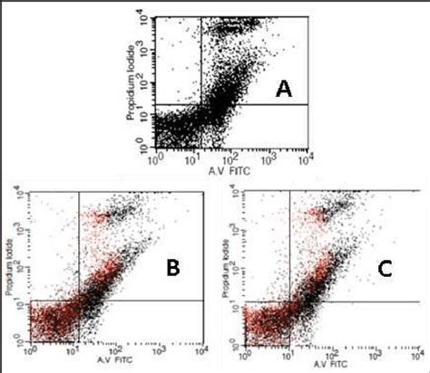 The Ability Of Representative Compounds To Alter Cell Cycle