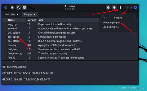 Kali Linux渗透测试演示——dns欺骗