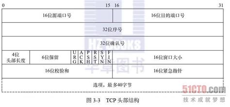 tcp头部结构 紫long 博客园