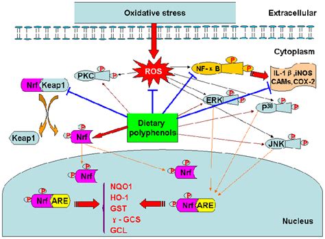 Download Signalr Programming In Microsoft Aspnet 2014