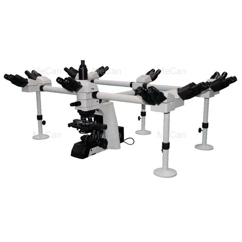 Ten Headed Microscope 10 Head Veterinary Digital Microscope Microscope And Digital Microscope