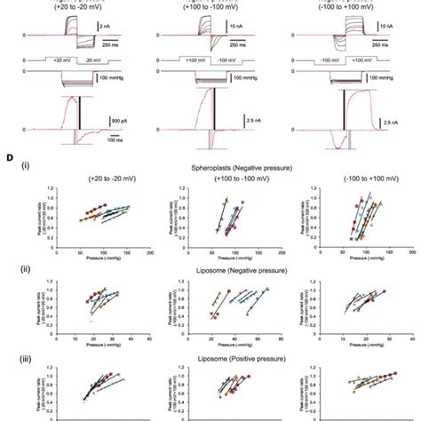 Navid Bavi Postdoctoral Fellow Bsc Msc Phd University Of