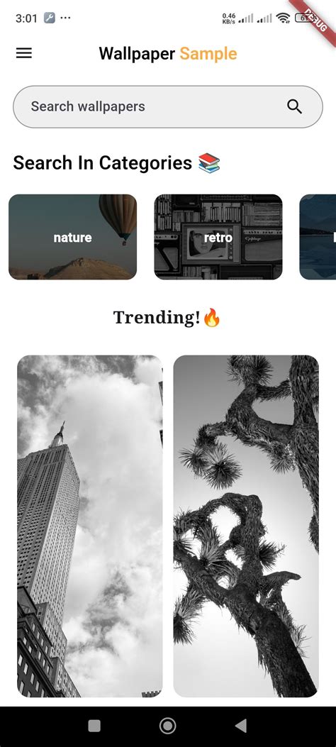 Flutter Api Appdevelopment Androiddevelopment Android Sumit Kamble
