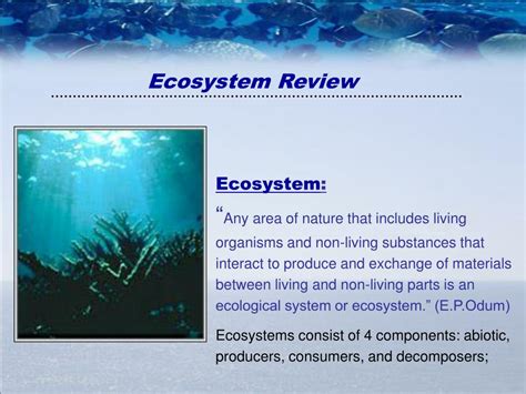 Ppt Ocean Ecosystem Powerpoint Presentation Free Download Id4489637