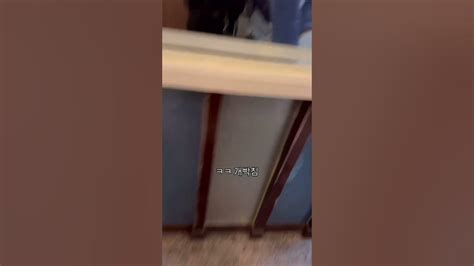 친구 얼굴에 침 뱉기 Youtube