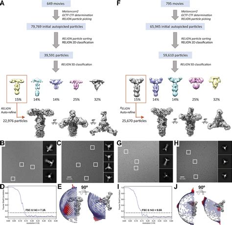 Classification Scheme Of Particles Identified In Cryo Em Micrographs