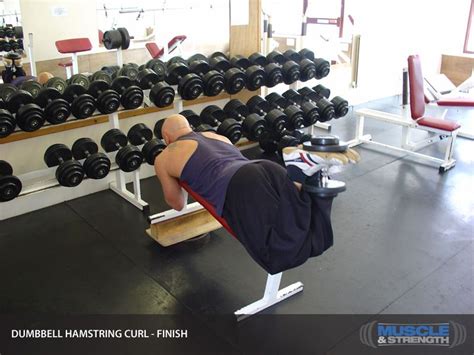 Dumbbell Hamstring Curl Video Exercise Guide Tips