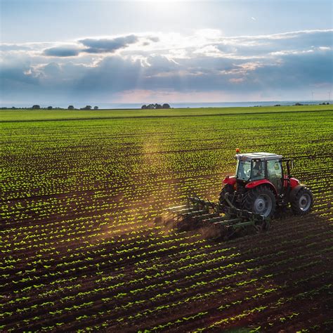 Crop Prediction Kaggle