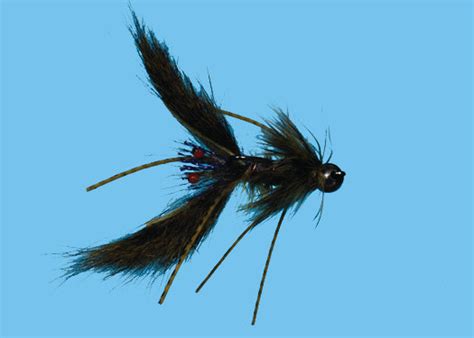 Mud Bug Crayfish Lost Coast Outfitters