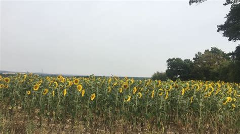 Pin De Isabelle Viot En Landscapes