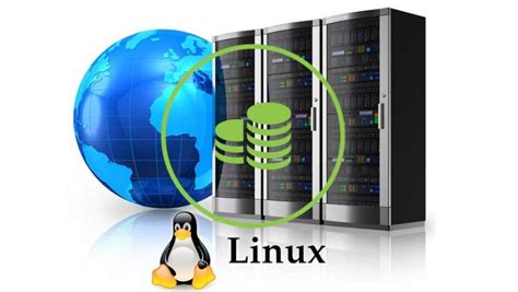 Most Popular Shared Hosting