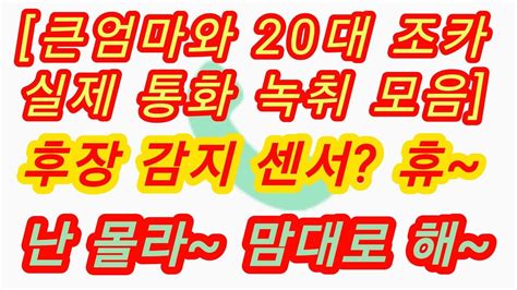 통화 녹음 큰엄마와 조카 이어서 듣기 1시간 30분 무슨 관계인지 뻔하네요 ㅋㅋㅋ 실화사연 충격적인 사연 막장사연