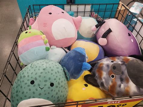 I Found Gio Rsquishmallow