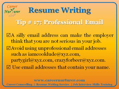 Guidelines For Writing A Professional Resume CV Career Counselling Aptitude Test Centre