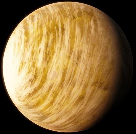 Daylie Amaranth Legacy Wiki Fandom