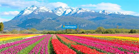Trevelin Hoteles Y Turismo En Trevelin Argentina