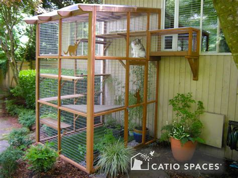 Diy Catio Plans And Catio Design Ideas How To Build A Catio Space