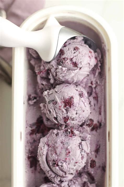 Blueberry Ice Cream Recipe Suebee Homemaker