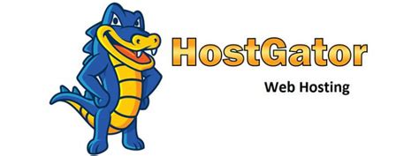 Best Adult Website Hosting Providers For 2020 Adult SEO