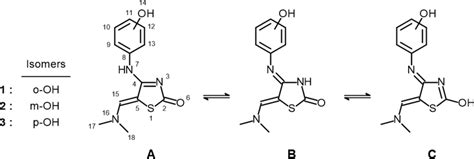 Possible Tautomeric Structures Of 13 Download Scientific Diagram