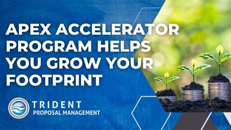 Can An Apex Accelerator Program Help You Grow Your Government