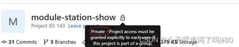 Gitlab中用户的五种权限 Guest、reporter、developer、master、ownergitlab权限等级 Csdn博客
