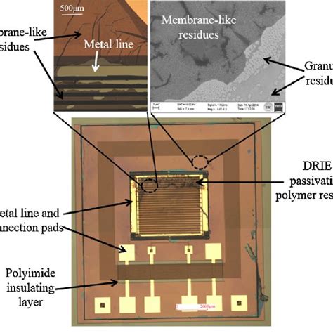 Pdf Polyimide Damage Free Cmos Compatible Removal Of Polymer