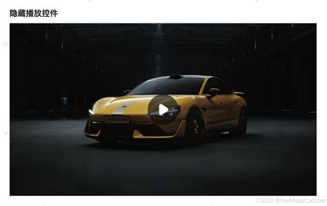 vue3视频播放（video） vue3 video csdn博客