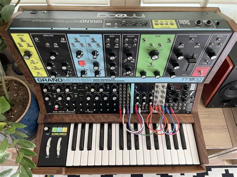 Moog Erica Synths Custom Module Rsynthesizers