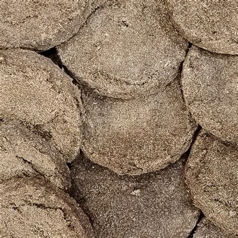 Venkadugu Varathi Mix Paal Sambrani Pure Natural Tiktok Shop Malaysia