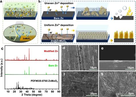 哈工大张乃庆ensm：多功能znmoo4保护层实现抑制枝晶和析氢的锌负极 华算科技