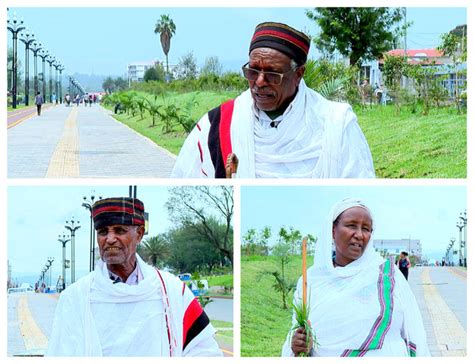 Irreecha Festival Enshrines Peace Reinforces Unity Brotherhood And Solidarity Abbaa Gadaas