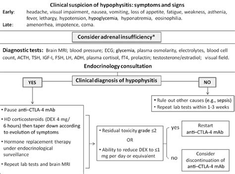 Flowchart For The Diagnosis And Treatment Of Hypophysitis Induced By