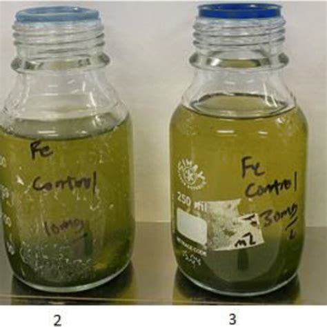 Microalgae Suspension After 20 Min Of Flocculation Experiment With Download Scientific Diagram