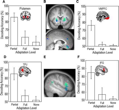 Decoding Accuracies For Classifiers Consistent With Partial Adaptation