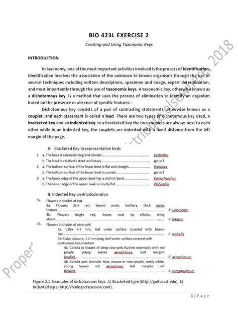 Creating And Using Taxonomic Keys A Guide To Identifying