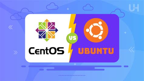 linux mint vs ubuntu which linux distribution to choose ultahost blog
