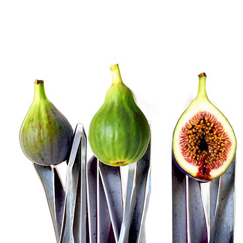 Figs Png Images 100