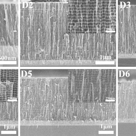 Sem Micrographs Of Fractured Cross Sections For Films Download