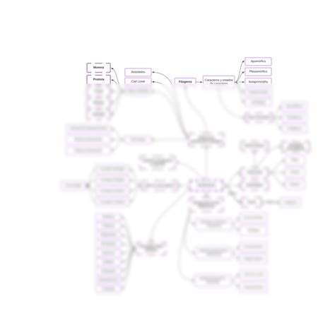 Portal De Los Mapas Conceptuales Mapa Conceptual Clasificaci N De Los