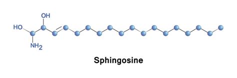 Sphingosine