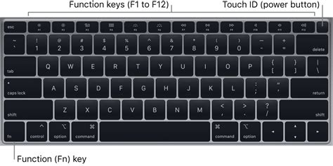 macbook air keyboard apple support