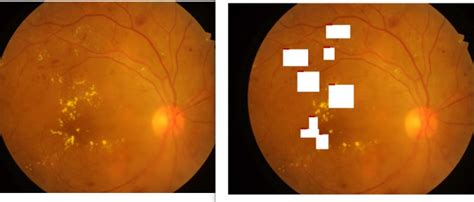 Handle Your Deep Learning Tasks Using Python By Mianusman123 Fiverr