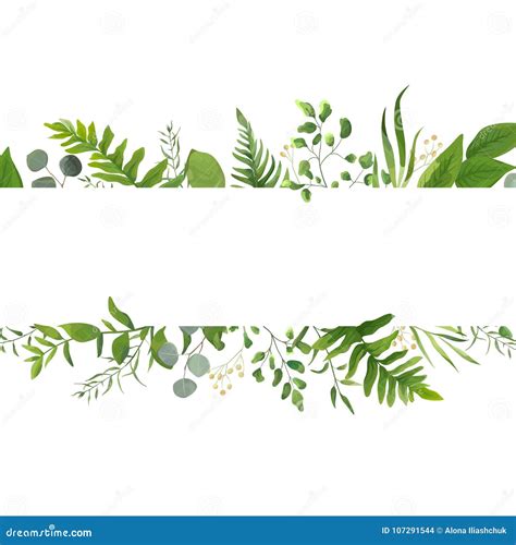 Vector Floral Greenery Card Design Forest Fern Frond Eucalyptus
