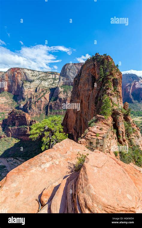 Vertical View Of Angels Landing Rock Formation In Zion National Park