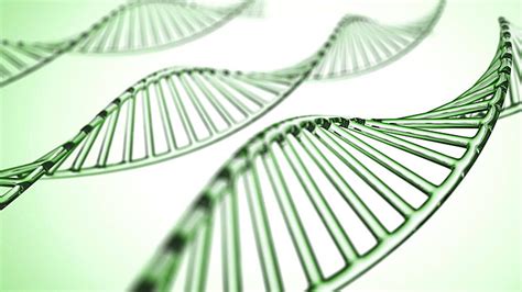 X Chromosomes In Abstract Dna Molecule Background Background White Dna Photo And Picture For