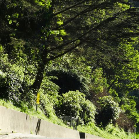 Yifan Shao San Francisco Conservatory Of Music Department Of Music Research Profile