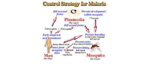 Management Of Malaria Control Programs Training Course Armstrong Global Institute