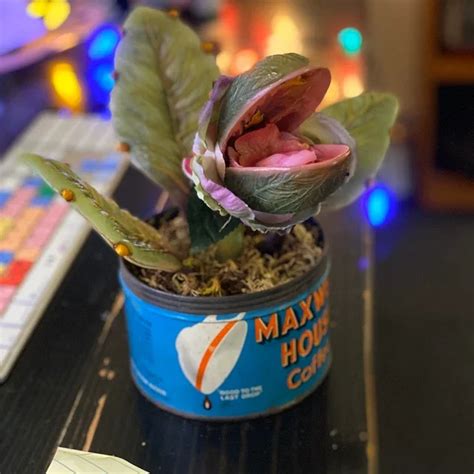 Audrey Plant From Little Shop Of Horrors Reinsho