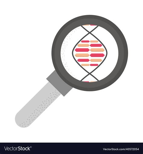 Dna Genetic Analysis Royalty Free Vector Image